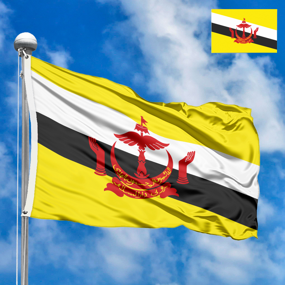 Flag of Brunei • photo • description 🏁 FlagsSite.com