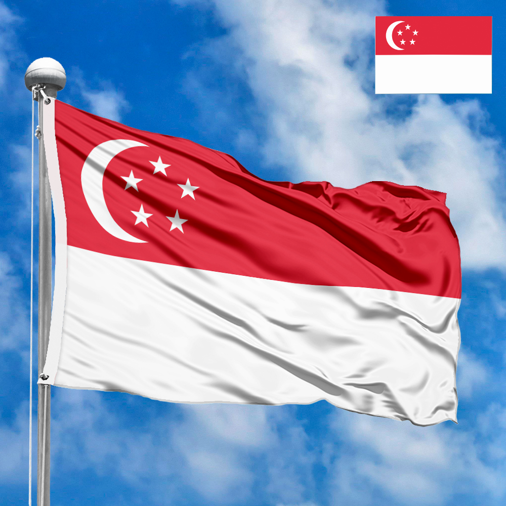 Drapeau de Singapour • photo • description 🏁 FlagsSite.com
